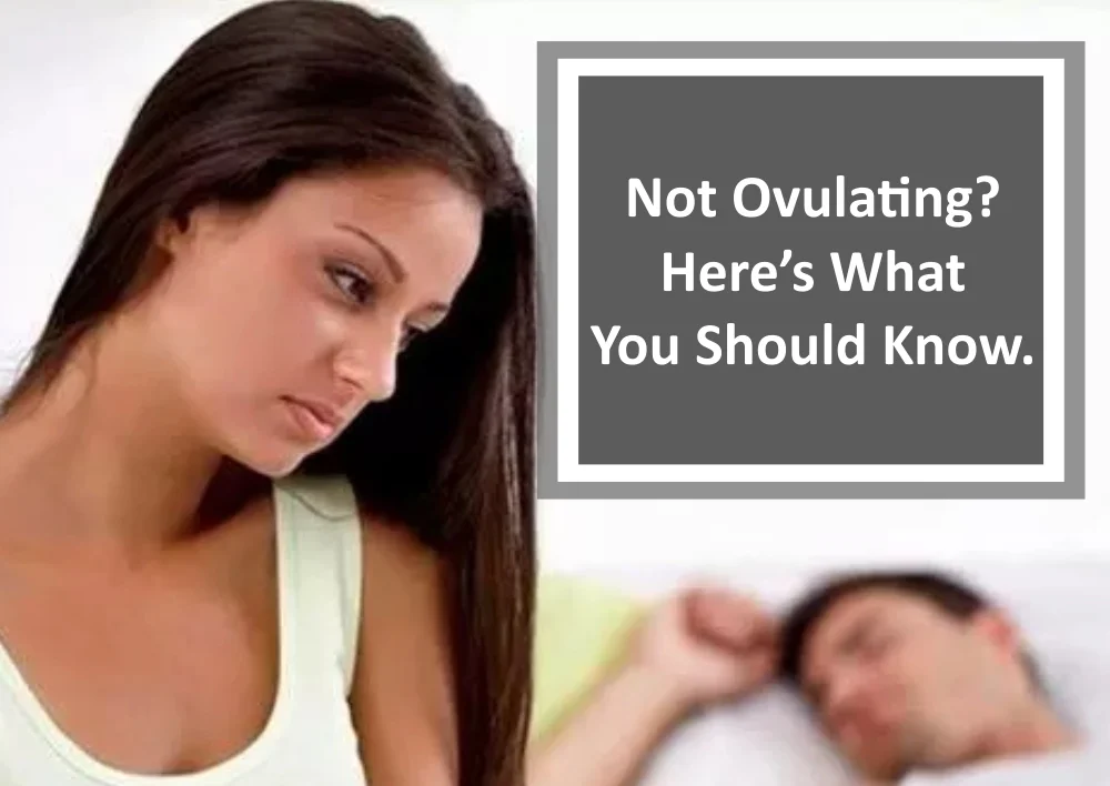 Not Ovulating? Here’s What You Should Know