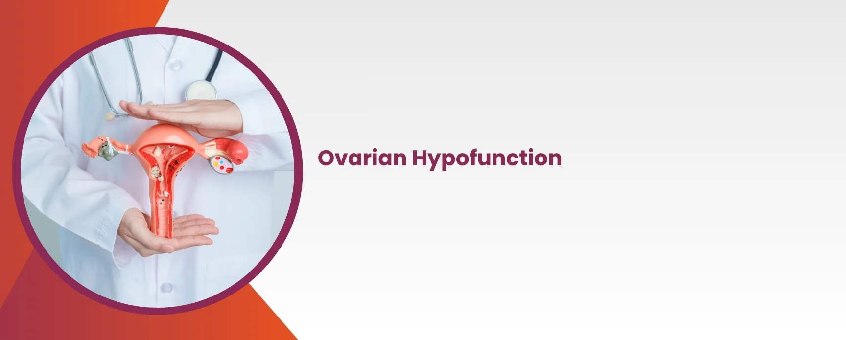 Ovarian Hypofunction Primary Ovarian Insufficiency : Causes,Symptoms ...