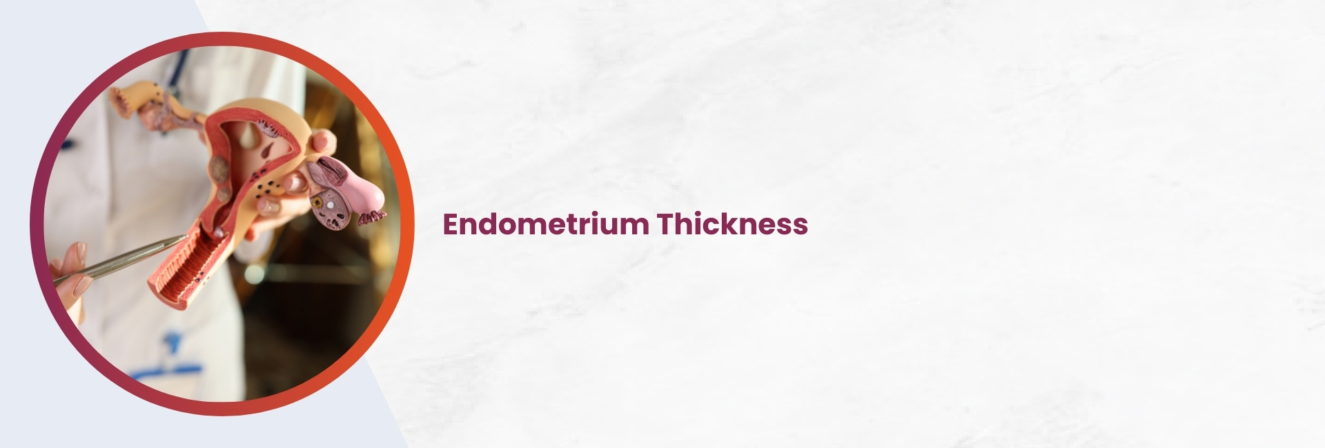 Endometrium Thickness: Causes, Symptoms, Diagnosis & Treatment